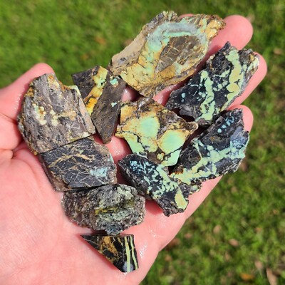 TREE FROG VARISCITE SLABS NEVADA USA 105.4 GRAMS | eBay