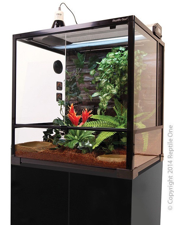 Reptile One RTF Glass Terrarium Vivarium Tank Full Range Tanks and ...