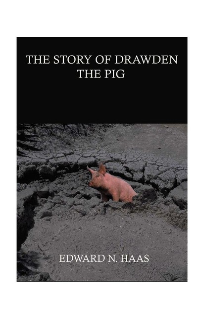 The Story of Drawden the Pig von Edward N. Haas (1999, Taschenbuch) online kaufen | eBay.de