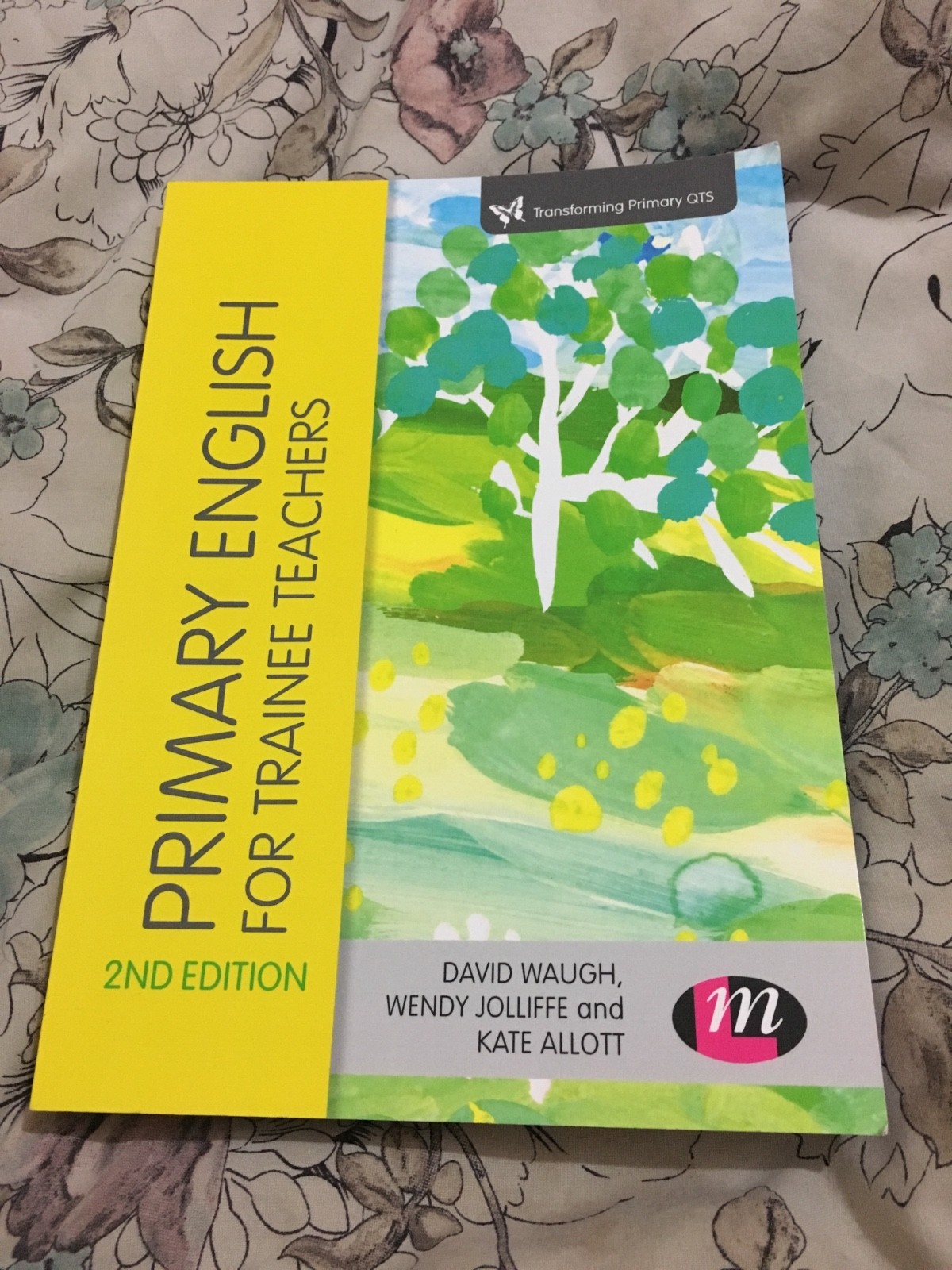 Brand New PGCE Primary Education Teacher Training CORE texts book ...