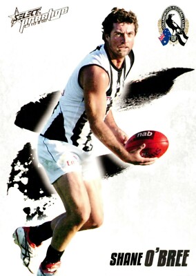2010 COLLINGWOOD MAGPIES AFL Premiers Card SHANE O'BREE Prestige | eBay ...