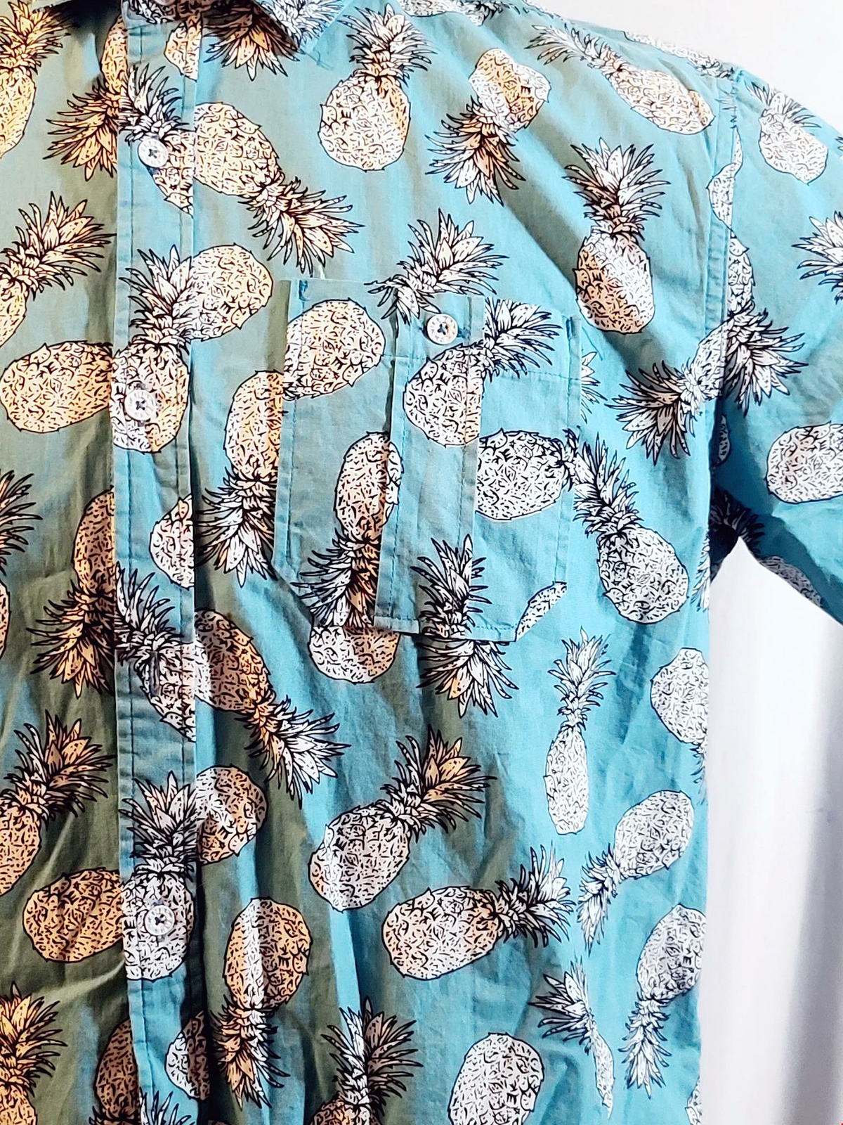 Free Planet Pineapple Mens Button Down Shirt X-Large - Gem
