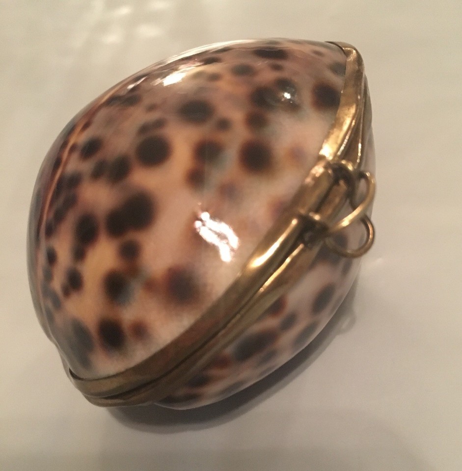 Cowrie Shell Trinket Box Brass Hinged Seashell Jewelry Egg Nice 🔥 | eBay