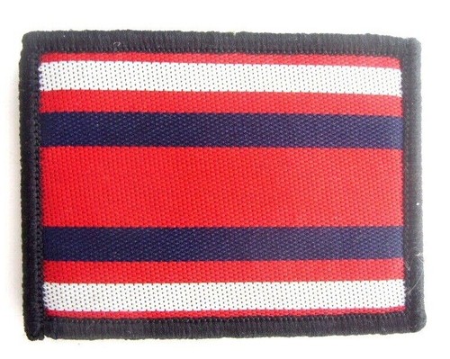 QARANC TRF QUEEN ALEXANDRAS ROYAL ARMY NURSING CORPS BADGE UK DZ ...