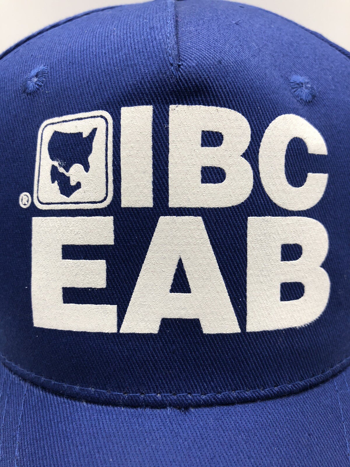 IBC Bank Employee Advisory Board Cap Hat Youth Snapback Cotton Blue | eBay