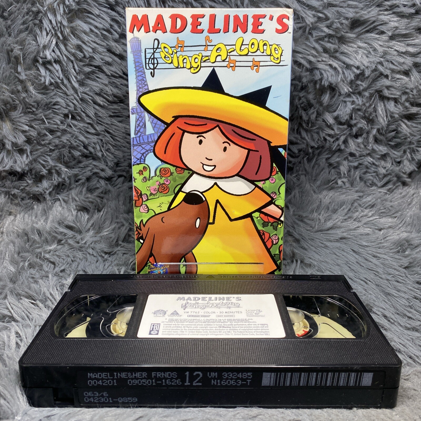 Madelines Sing-A-Long VHS Tape 2000 Songs Incredible World Of Dic Kids ...