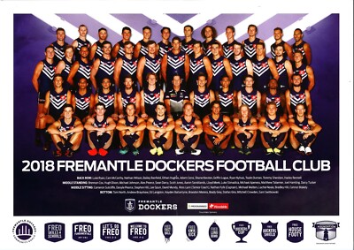 AFL FREMANTLE DOCKERS TEAM POSTER, Football, demons, cats dogs lions ...