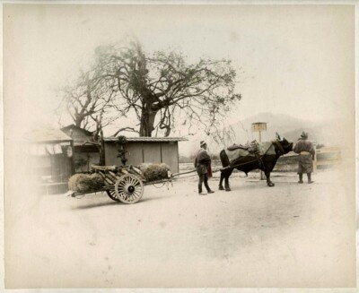 65c.1880's PHOTO - JAPAN A BULLOCK CART | eBay