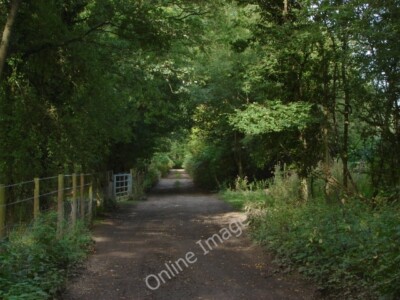 Photo 6x4 Cobbett Hill Common Littlefield Common The trackway that runs ...