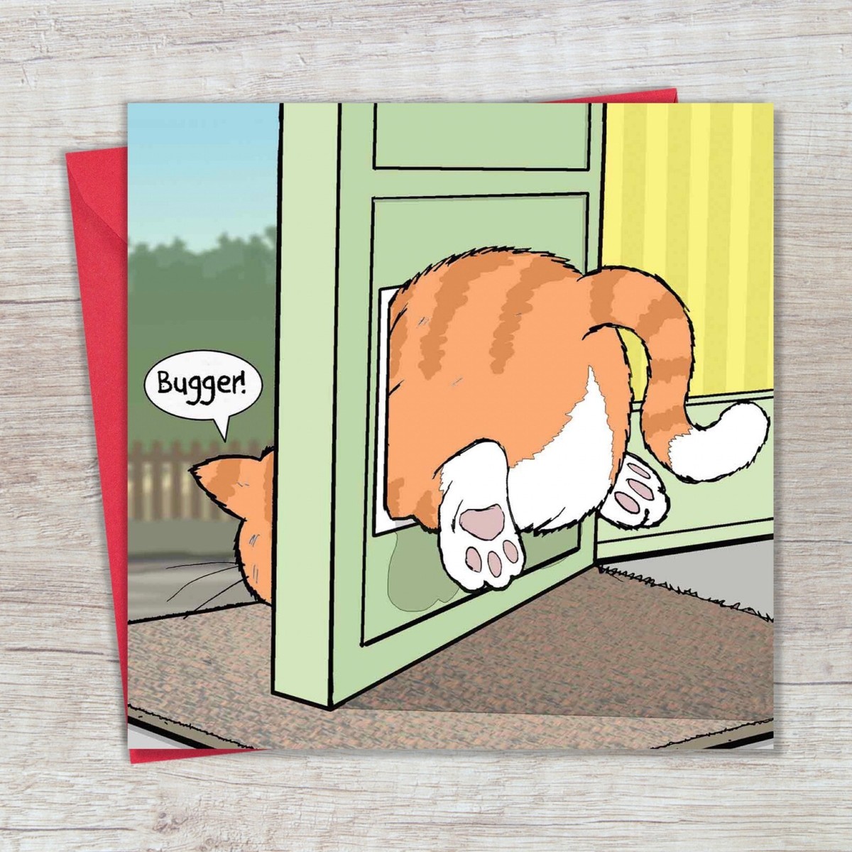 Happy Birthday Fat Cat Funny