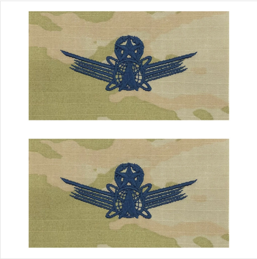 Army Space Command Badge