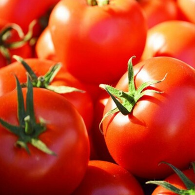 TOMATO Valiant (indeterminate) 50+ seeds Fruit heirloom garden ...