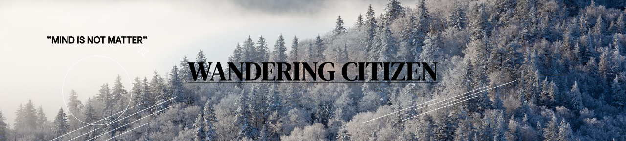Wandering Citizen | eBay Stores