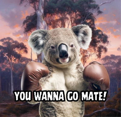 You wanna go mate - Boxing Koala | eBay Australia