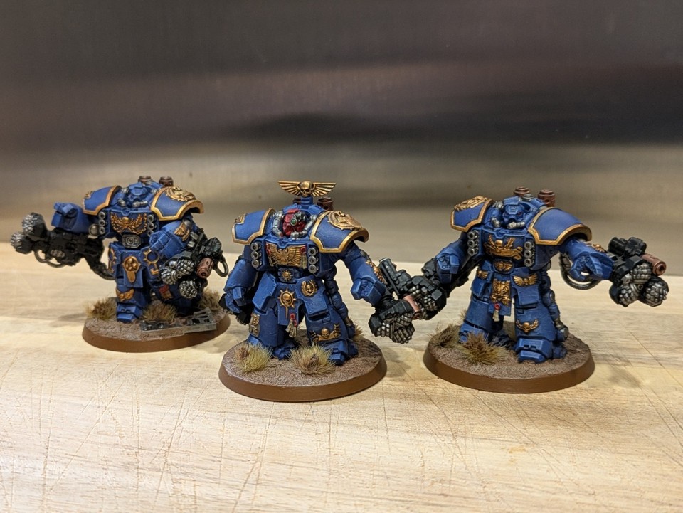Warhammer 40k Space Marine ultramarines centurion squad pro painted ...
