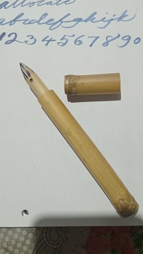 Dip Pen Reed Bamboo Pen Broad Nib Calligraphy Pen for Art & Calligraphy ...