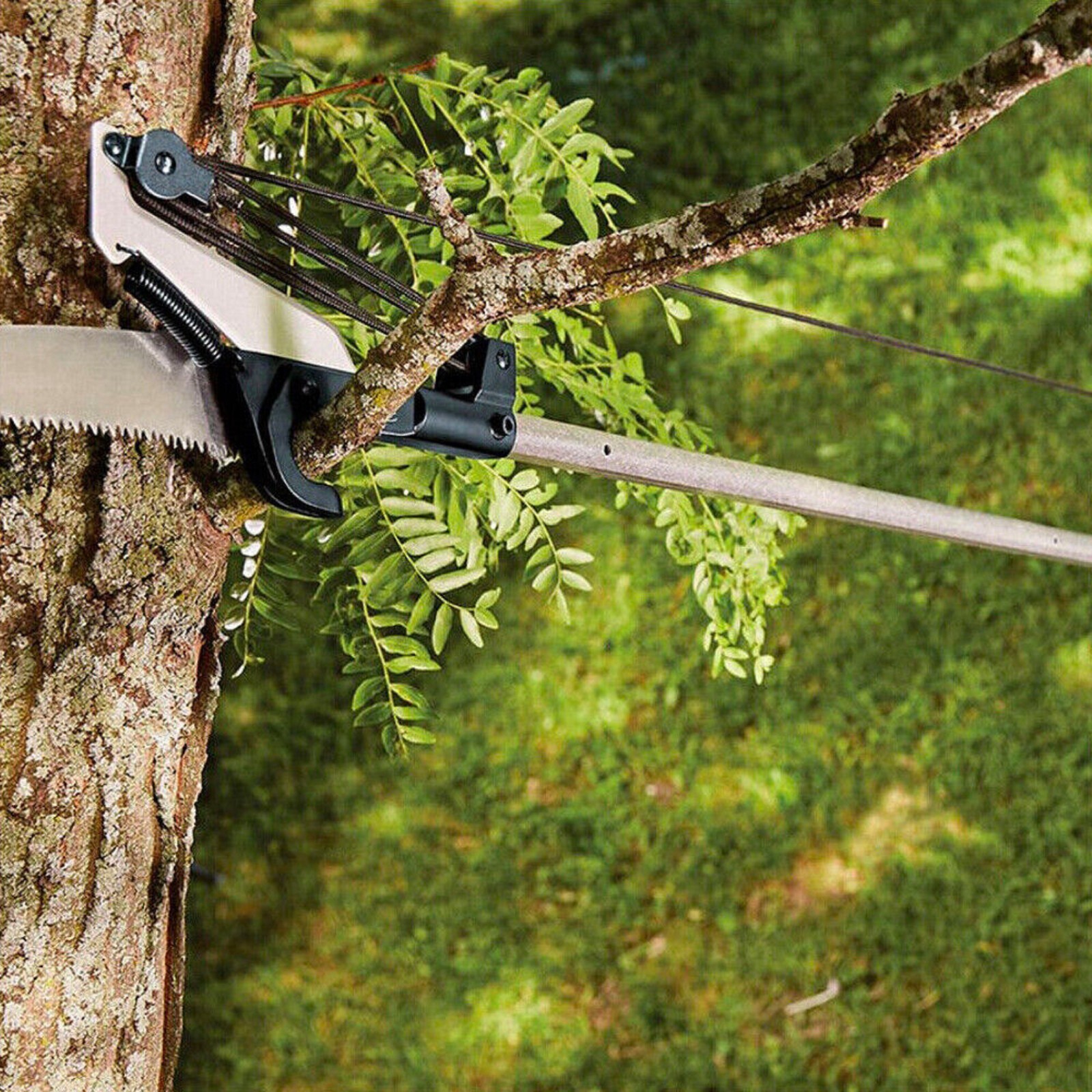 Extendable Tree Pruner Garden Tool Pole Saw Branch Long Reach Limb ...
