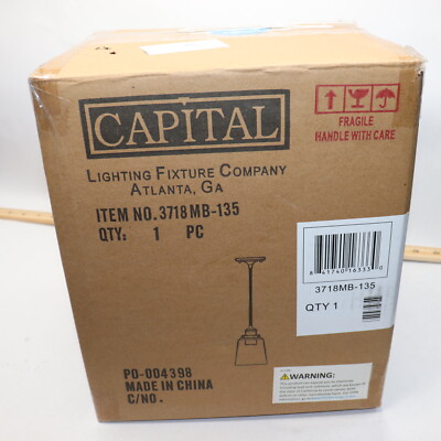 Capital Pendant Light Fixture Glass Clear Matte Black 1-Light 100W 9"H ...
