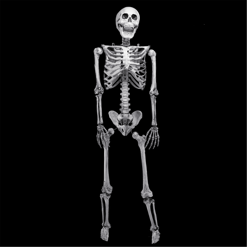 5.6' Halloween Skull Skeleton Human Full Life Size Bone LED Eye Party ...