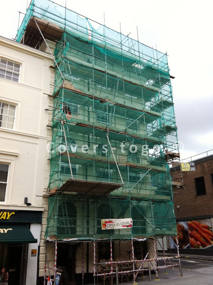 Green Debris Netting Scaffold Garden Screen Crop Protection Windbreak ...