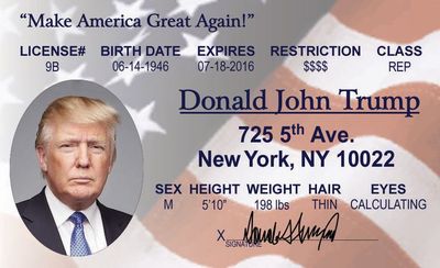 President Donald Trump New York NY US id collector card Identification ...