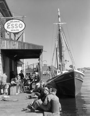 1937 Fish Cannery Workers. Gloucester, MA Vintage Old Photo 8.5" x 11 ...