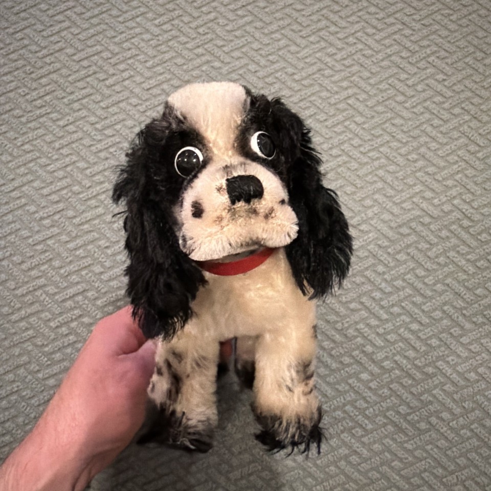 Steiff Cocker Spaniel 1960 To 19 64 12 Cm Number 1312, 06 | eBay