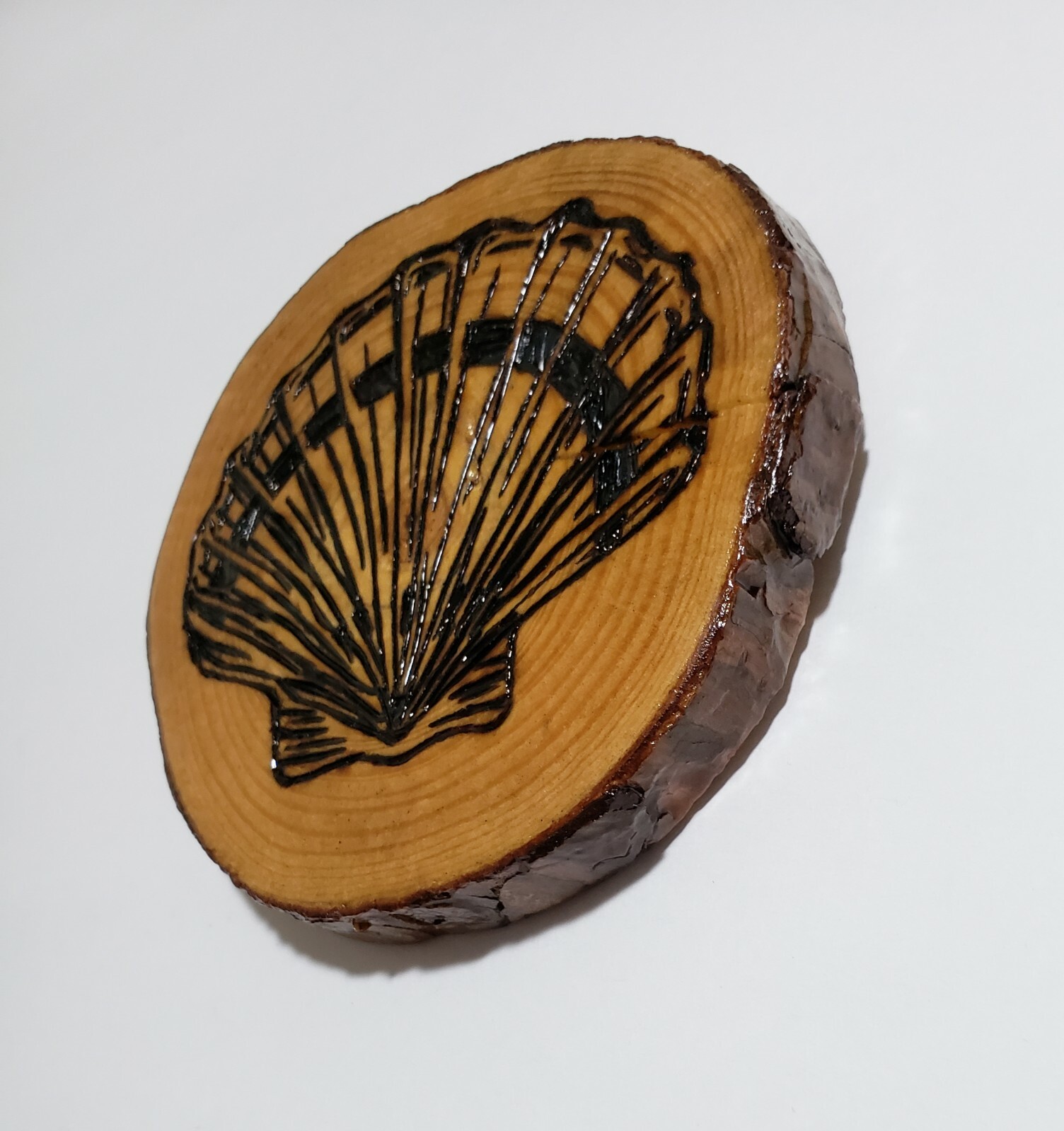 Handmade Sea Shell Wood Burning On Wood Slice Pyrography Wall Decor | eBay