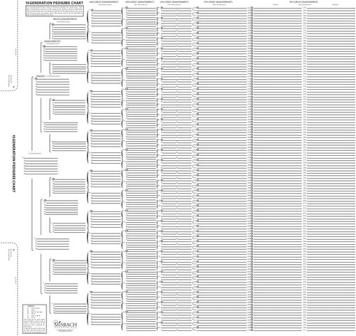 TreeSeek® 15 Generation Pedigree Chart | Blank Genealogy Forms for ...