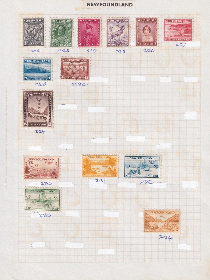 Newfoundland. Mint & used collection, on pages & stockcards. | eBay