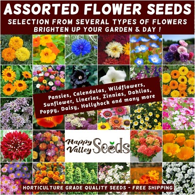 FLOWER GARDEN SEEDS 100+ TYPES sunflower wild flowers pansy marigold ...