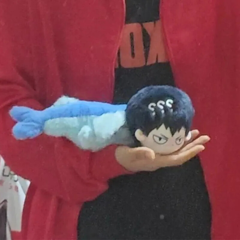 Haikyuu!! Tobio Kageyama Flying Fish Plush Doll Toy Sacabambaspis ...