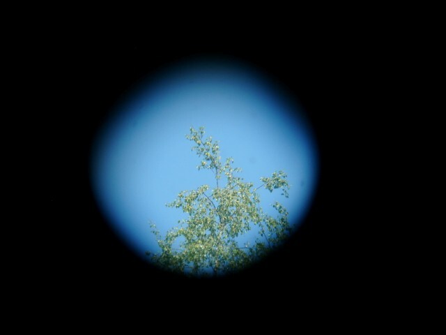 Carl Zeiss Jena German WW1 Binoculars 6x24 with K Spandau rifle ...