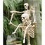 Human Body Skeleton Model 60" Tall Posable Movable Joints Realistic ...