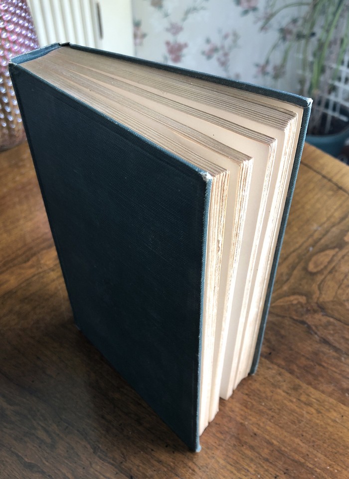 1884 Harriet Beecher Stowe Dred A Tale of the Great Dismal Swamp ...