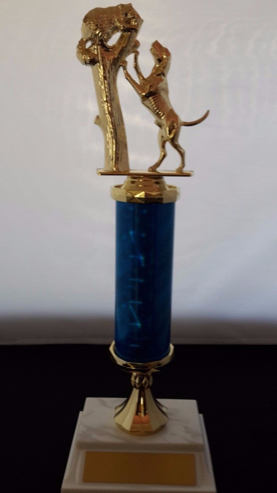 Coon Dog 13" Trophy Award Free Engraving | eBay