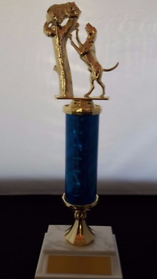 Coon Dog 13" Trophy Award Free Engraving | eBay
