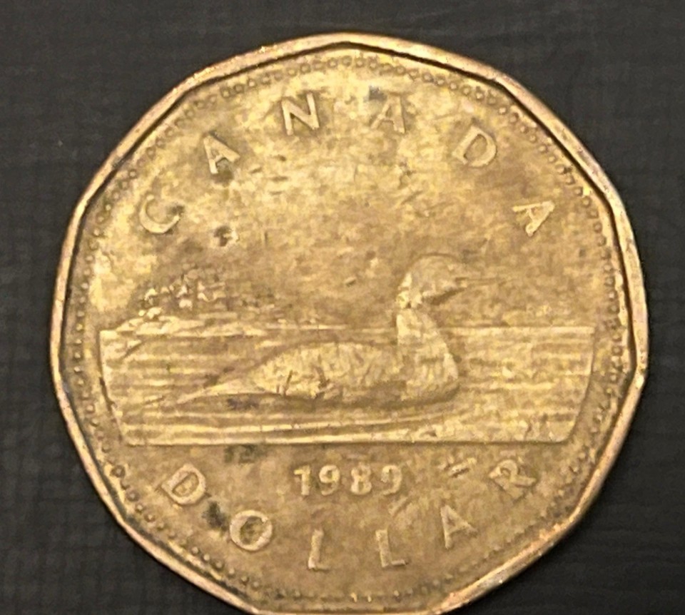 1989 Canadian Loonie 1 $ dollar coin Canada Queen Elizabeth II Free ...