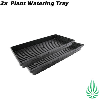 Hydroponics Propagation tray Plant Watering Tray Solid Flat Tray | eBay
