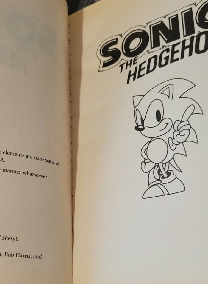 Sonic The Hedgehog Drawing Book