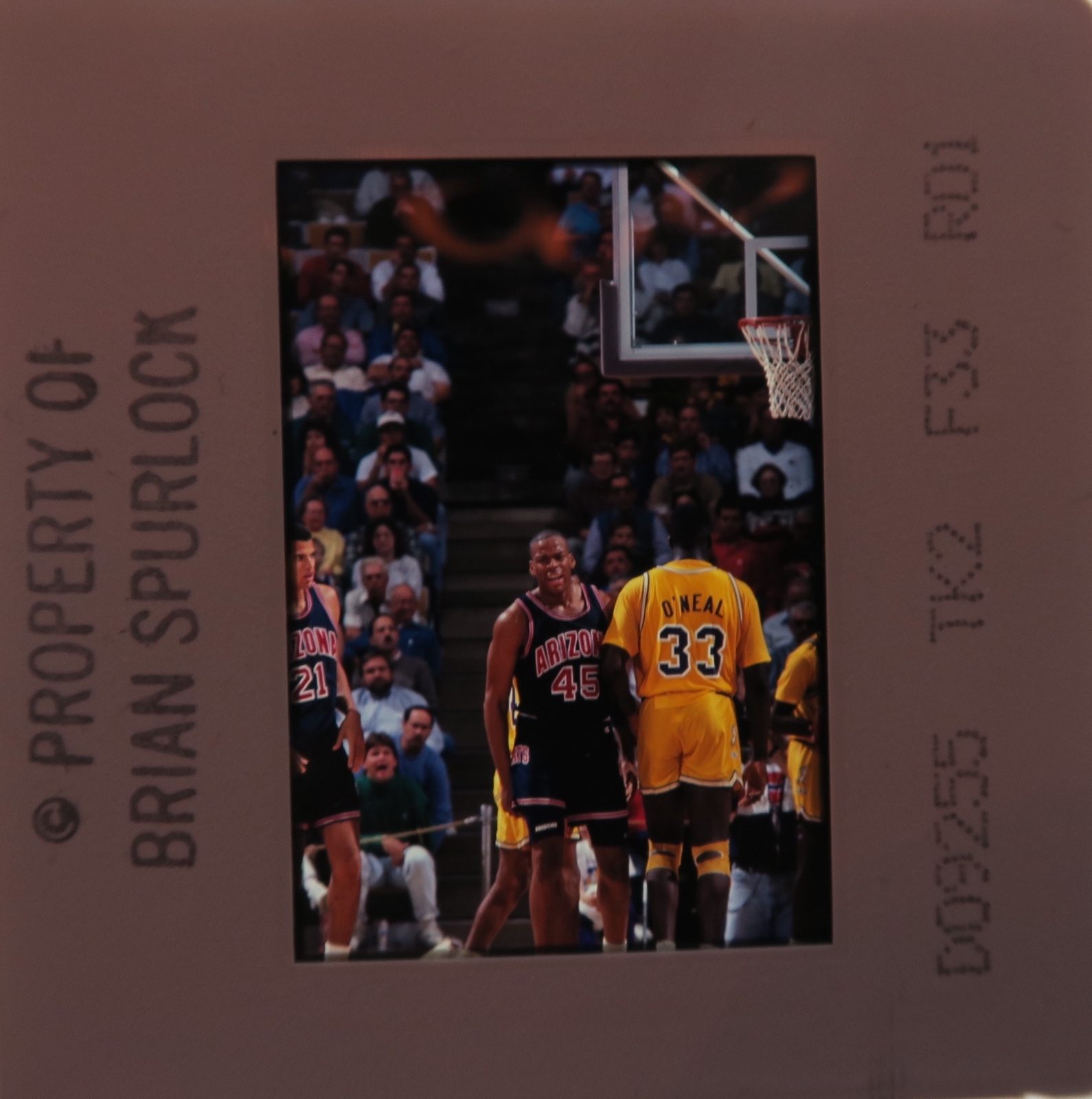 SHAQUILLE O'NEAL SHAQ LSU ORLANDO MAGIC LAKERS HEAT SUNS CELTICS SLIDE ...