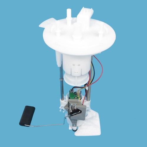 US Motor Works Fuel Pump Module Assembly for 04 F-150 USEP2434M | eBay