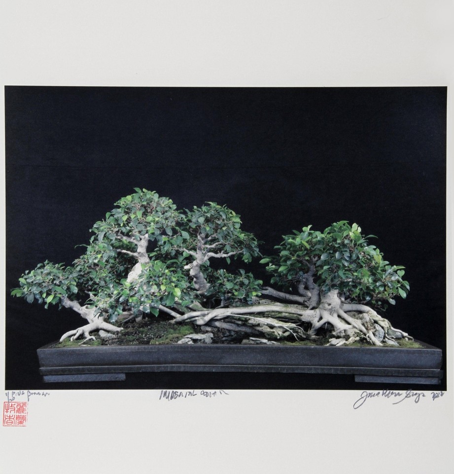 Jonathan Singer, Imperial Series X, Digital Photograph on Laid paper ...