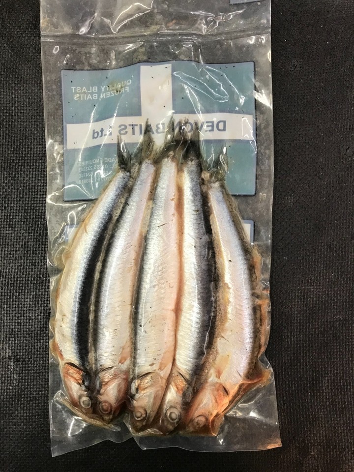 Devon Baits MINI HERRING Pike Predator Deadbait Fishing 5 PER PACK ...