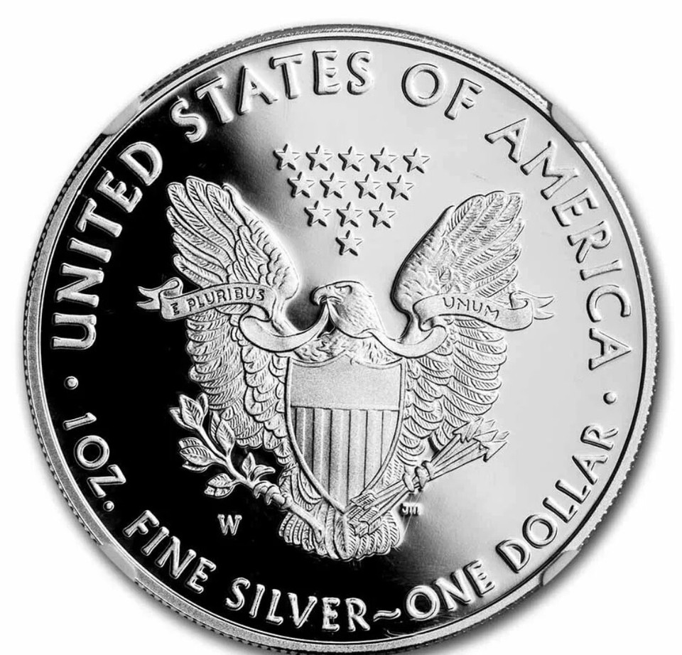 2020 W NGC PF70 UCAM American Silver Eagle V75 WWII Privy Mark Brown ...