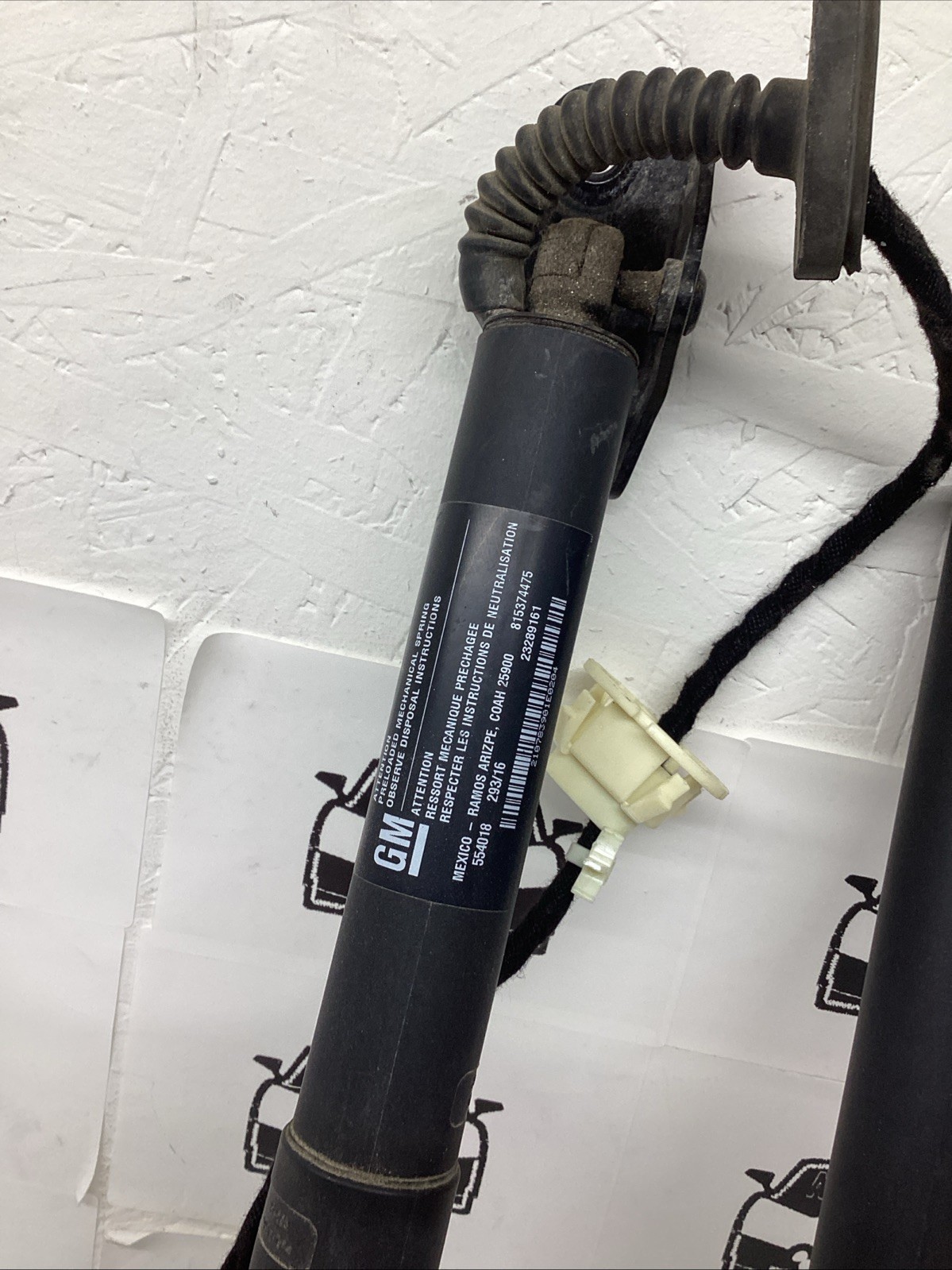 CHEVROLET EQUINOX GMC TERRAIN Liftgate Trunk Motor Support Strut OEM ...