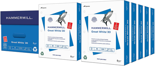 Printer Paper, Great White 30% Recycled Paper, 3 Hole - 10 Ream (5,000 ...