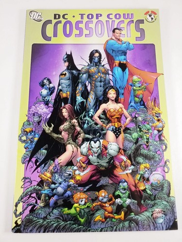 DC Top Cow Crossovers TPB The Darkness Batman Superman JLA Witchblade ...