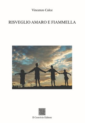 Libri Vincenzo Calce - Risveglio Amaro E Fiammella | eBay