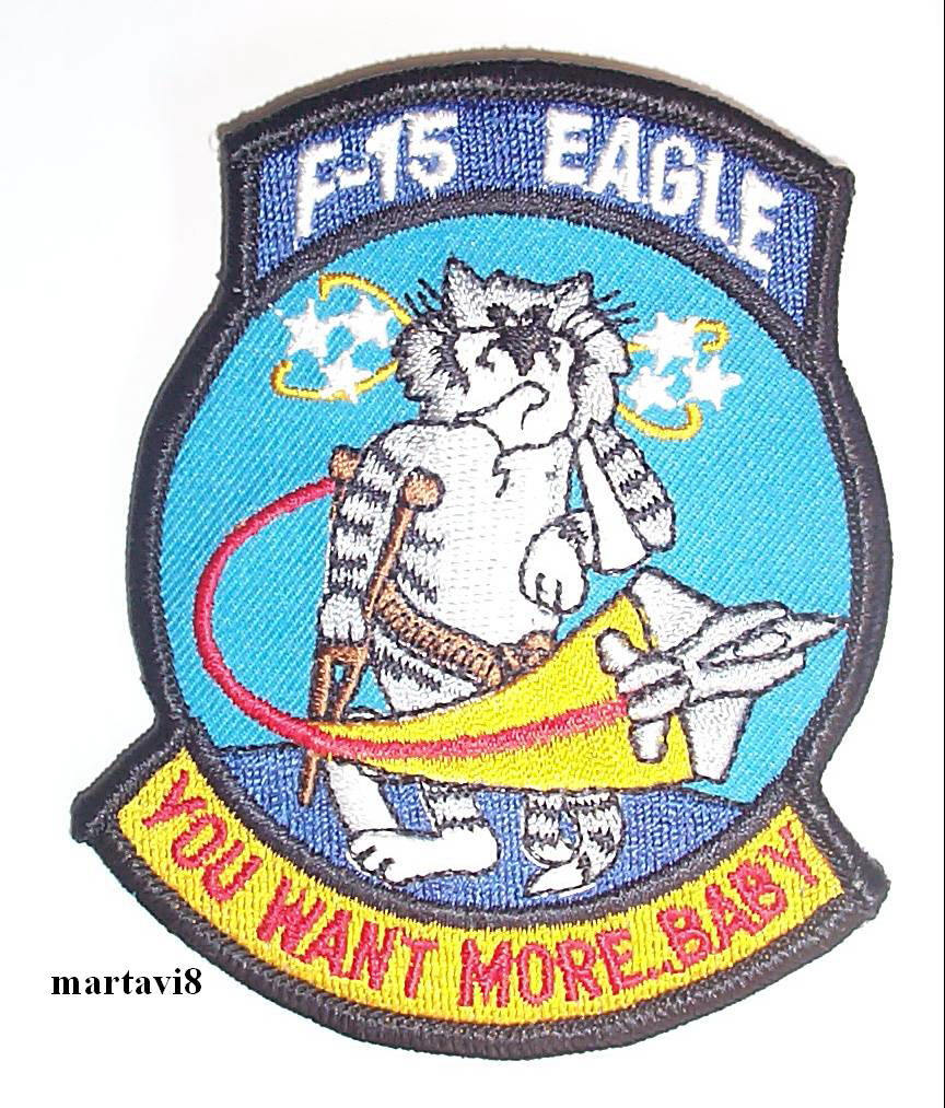 USAF F-15 Eagle` TOMCAT BEATERS` Aircraft Cloth Badge / Patch (F15-6 ...